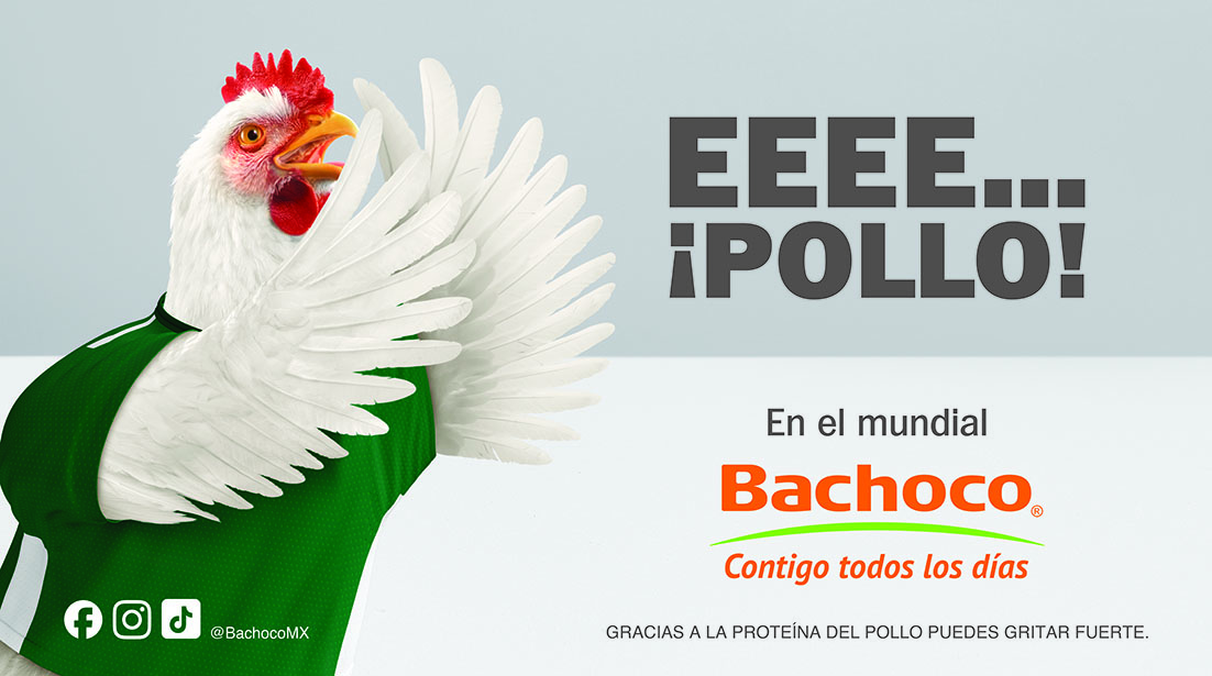 ¡Llegaron las del mundial! - Bachoco Corporativo